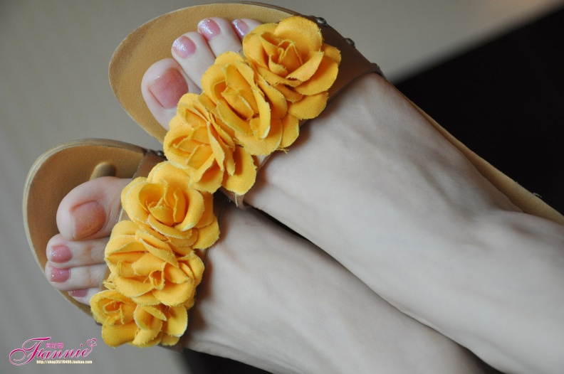 DSC 0286 | （福妹）主题相册